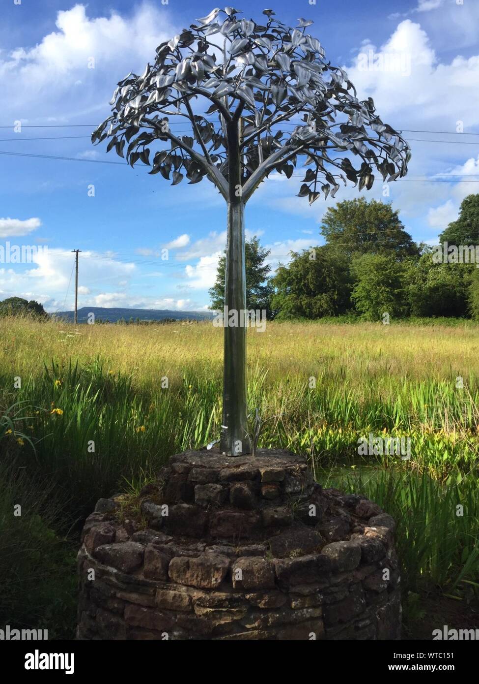 Tree structure hi-res stock photography and images - Alamy