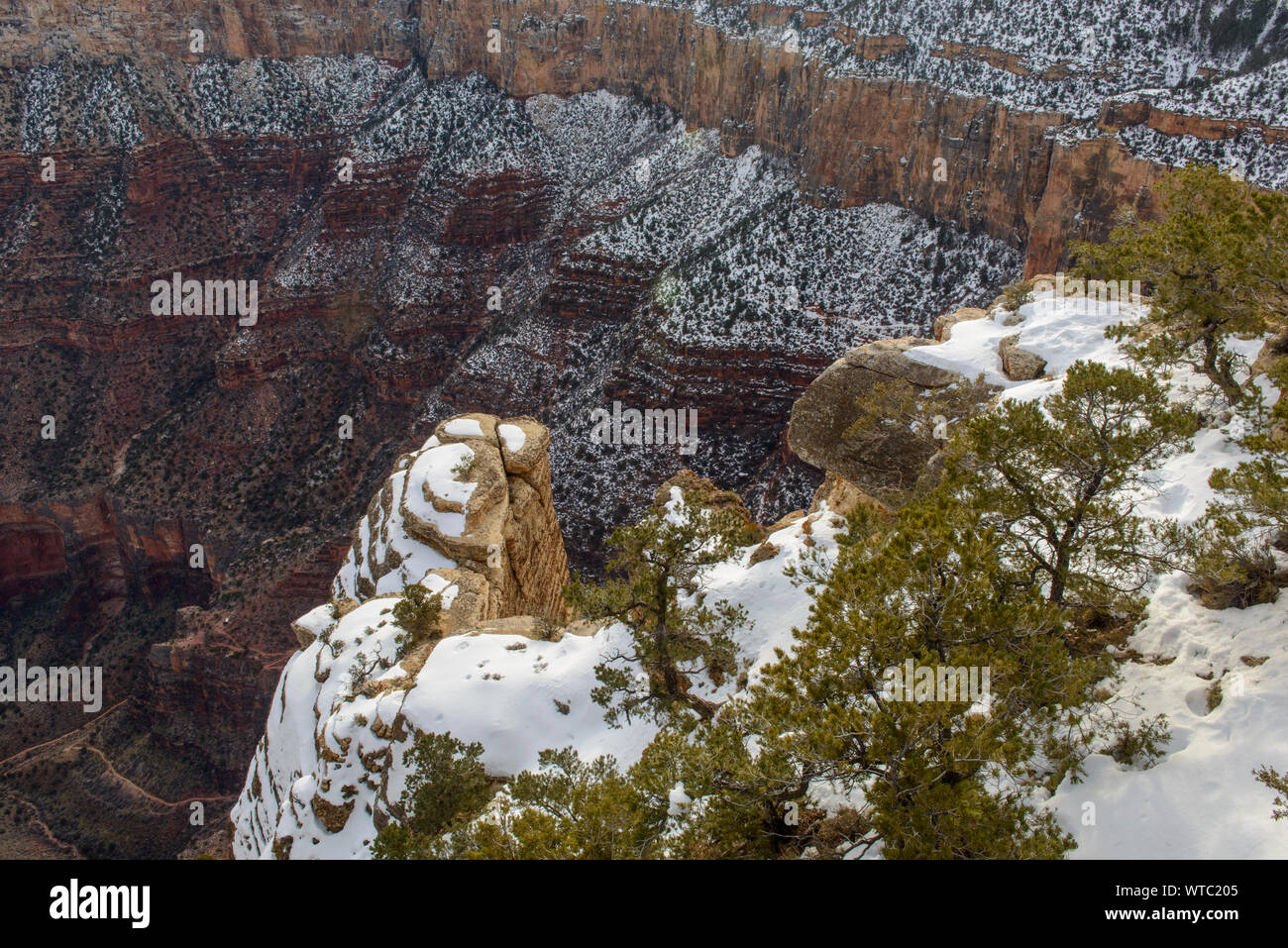 Grand canyon from moran point hi-res stock photography and images - Alamy