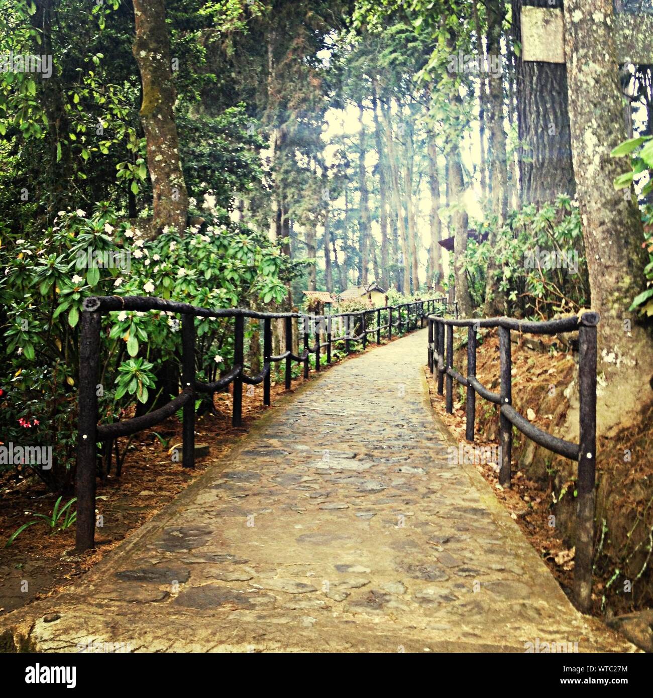 Ecological park hi-res stock photography and images - Alamy