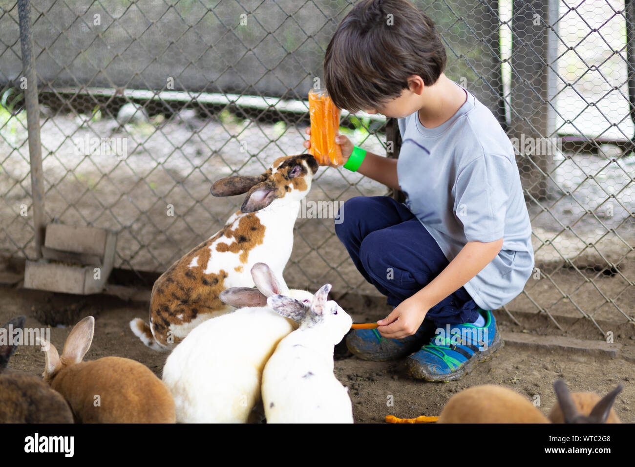 Indian rural children playing farm hi-res stock photography and images ...