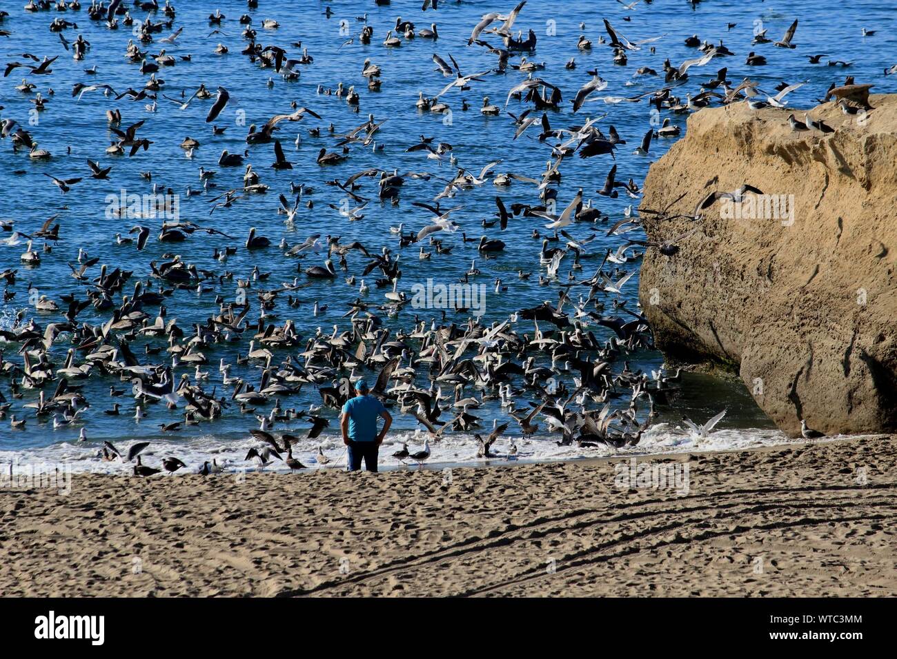 Man bird watching hi-res stock photography and images - Alamy