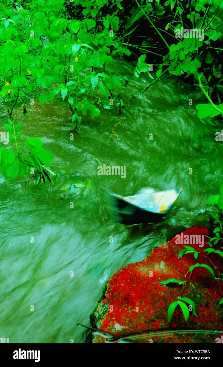 Stream boat hi-res stock photography and images - Alamy