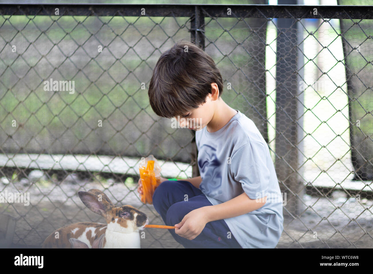 Children playing with pet rabbit hi-res stock photography and images ...