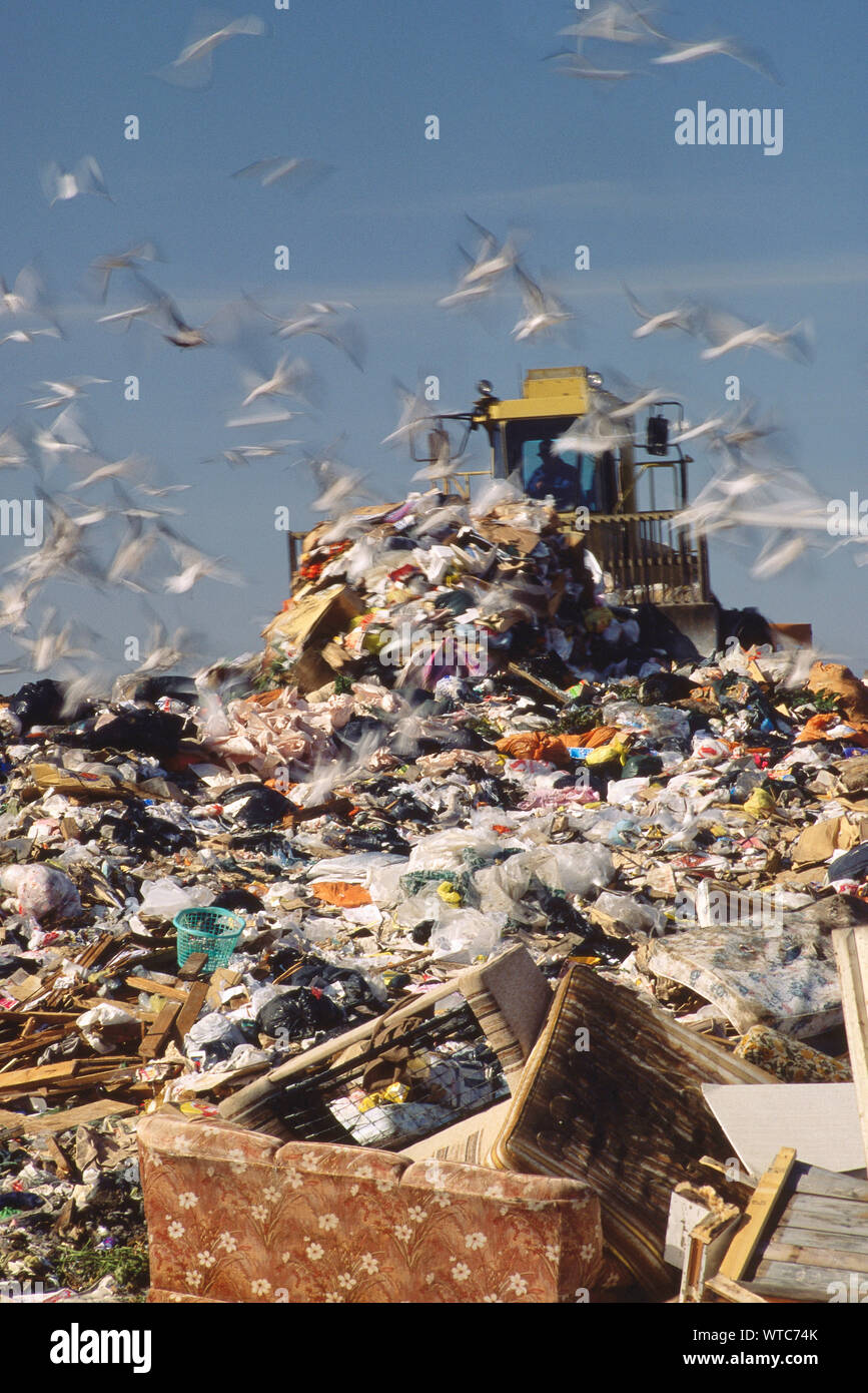 Garbage in a Landfill Stock Photo - Alamy