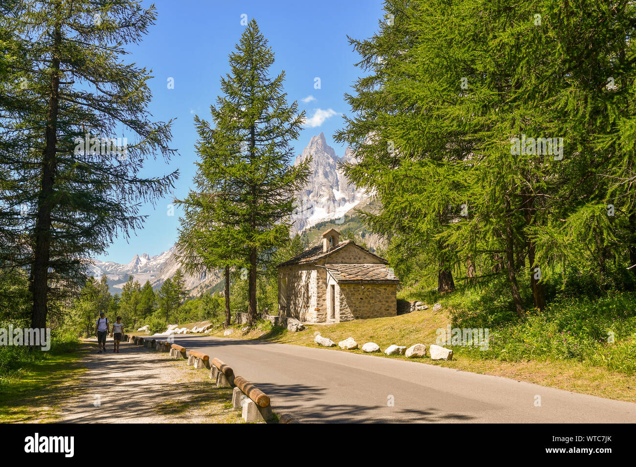 Scenic view of the Val Ferret valley at the foot of the Mont Blanc ...