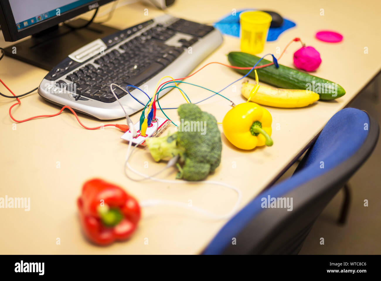 Young school children learning science and technology in STEM programs ...