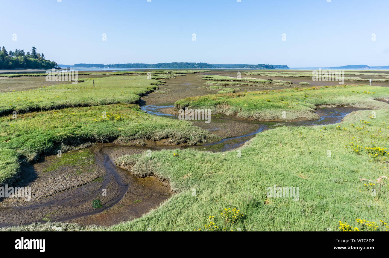 Grass mounds and mud flats at the Nisqually Wetlands near Olympia ...