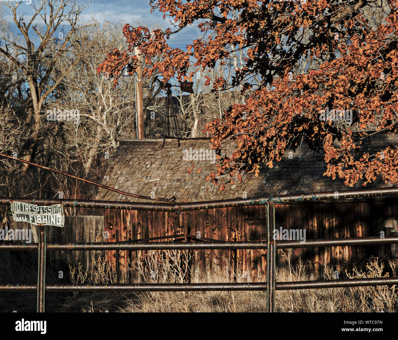 Roof of branches hi-res stock photography and images - Alamy