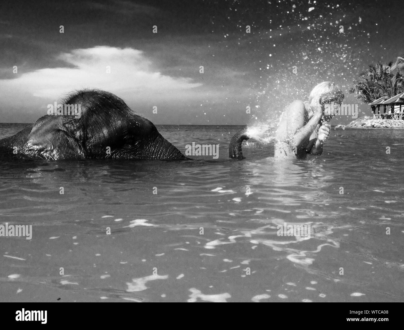 Young women on elephant hi-res stock photography and images - Alamy