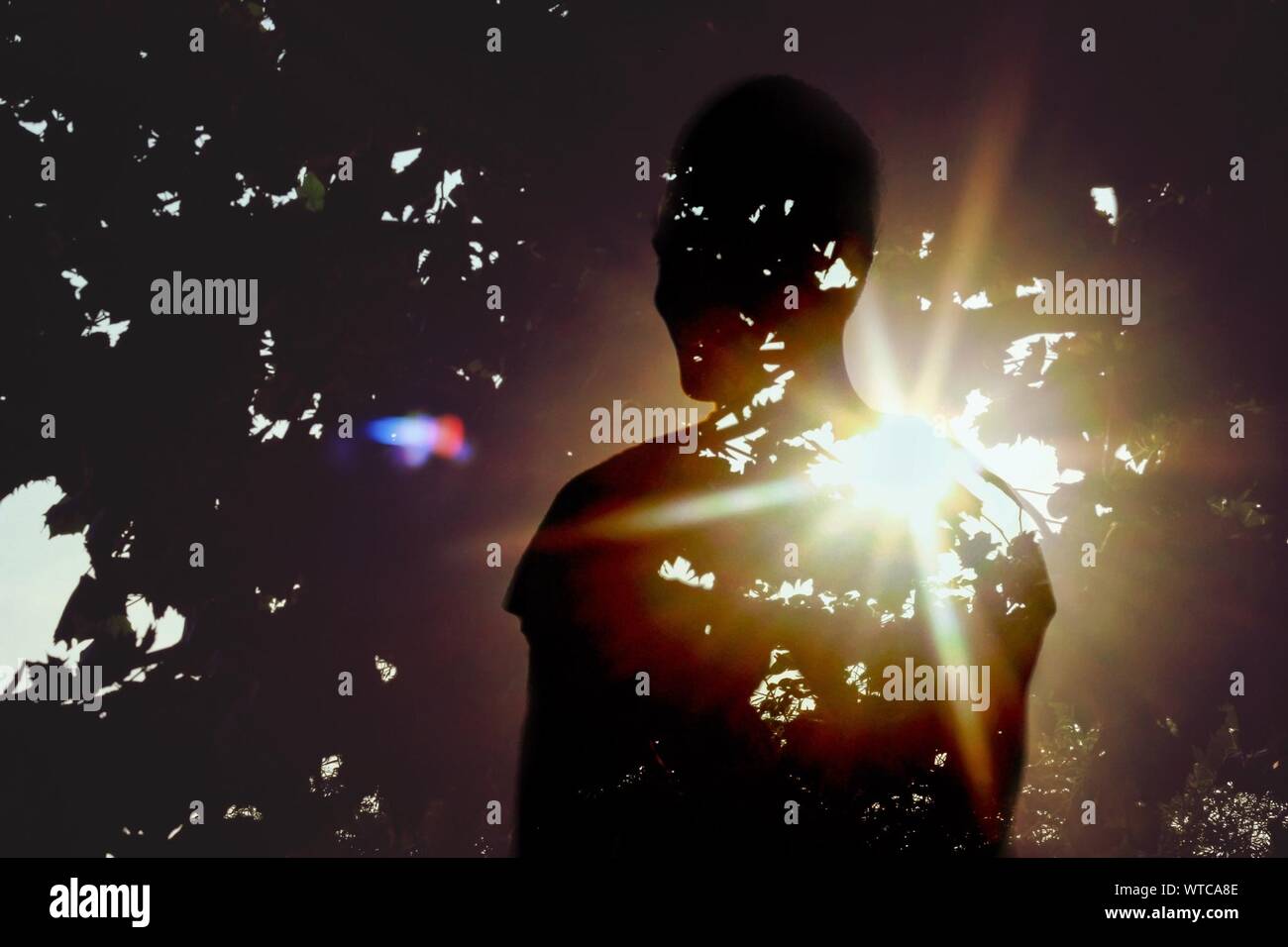 Double exposure man tree hi-res stock photography and images - Alamy