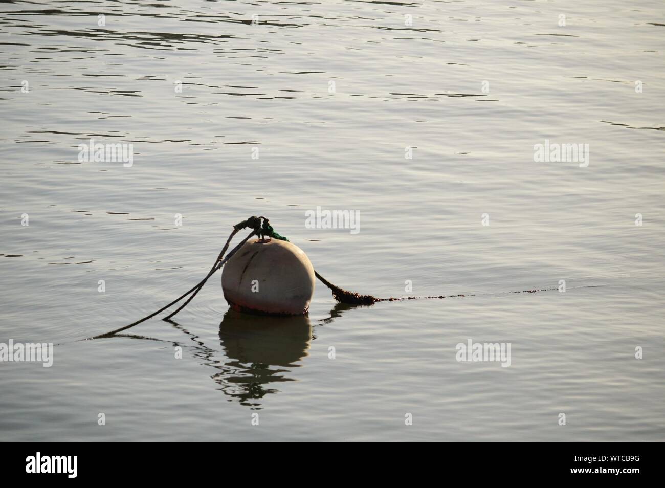 Buoy Floating On Water Stock Photo - Alamy