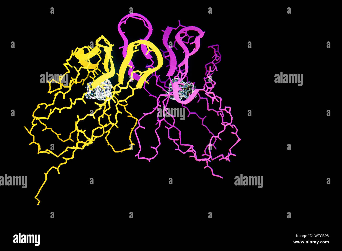 Computer Generated Diagram of a Bacterial Protein Molecule Stock Photo ...