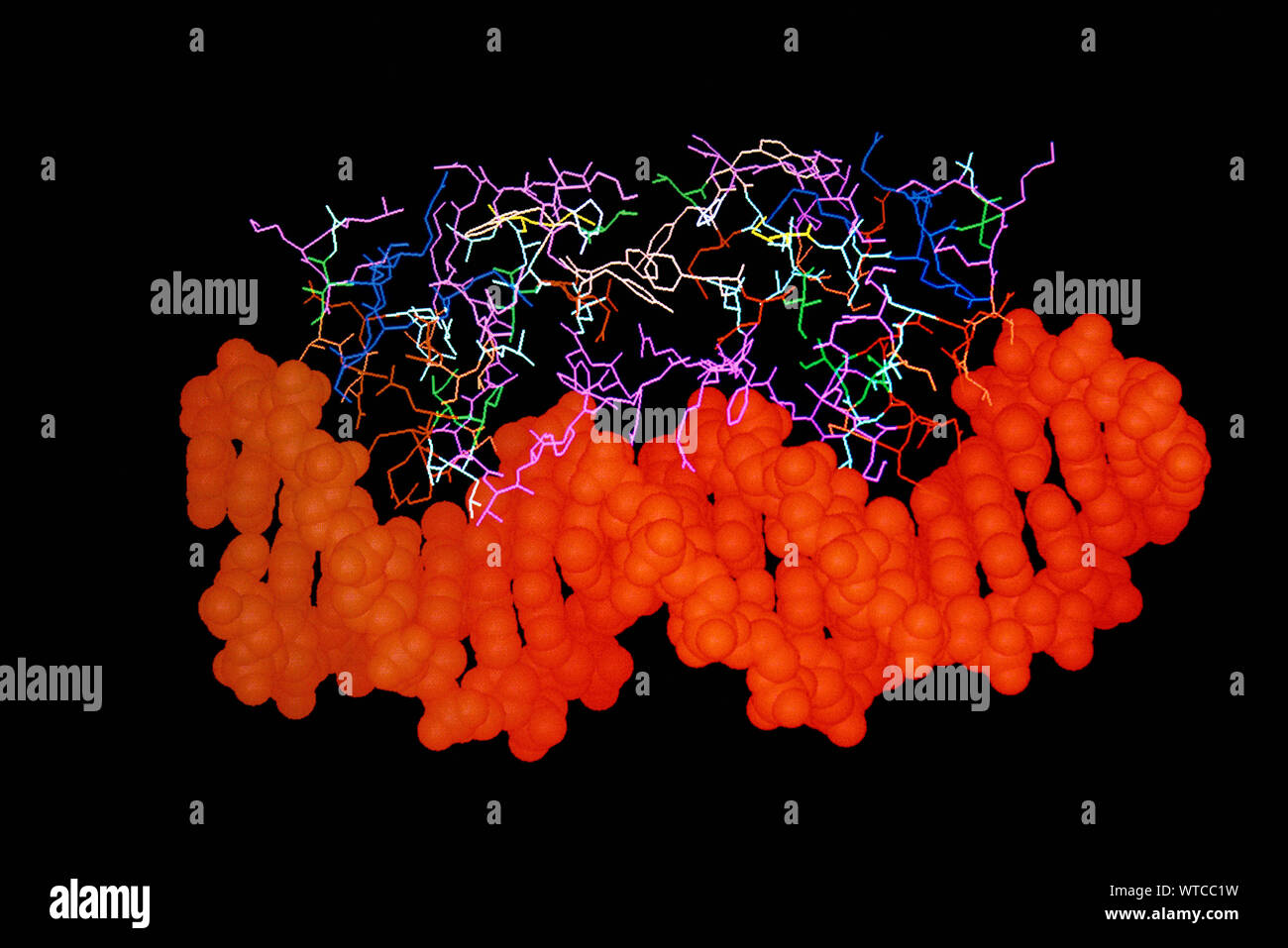 Computer Generated Diagram of DNA and Protein Molecules Stock Photo - Alamy