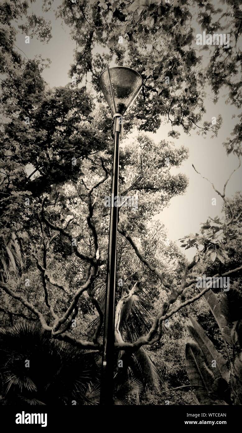 Light pole in park hi-res stock photography and images - Alamy