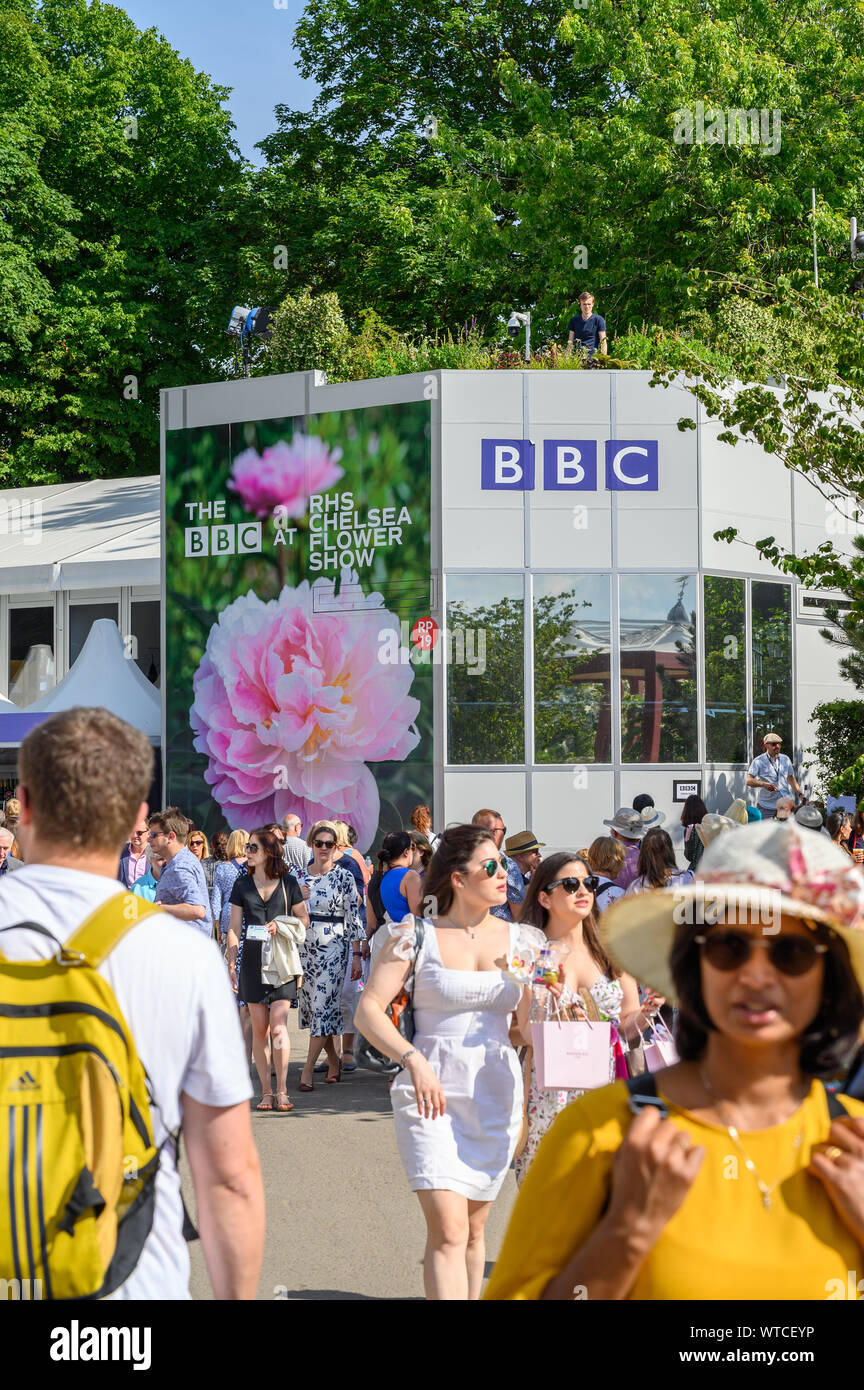 RHS Chelsea 2019 Stock Photo - Alamy