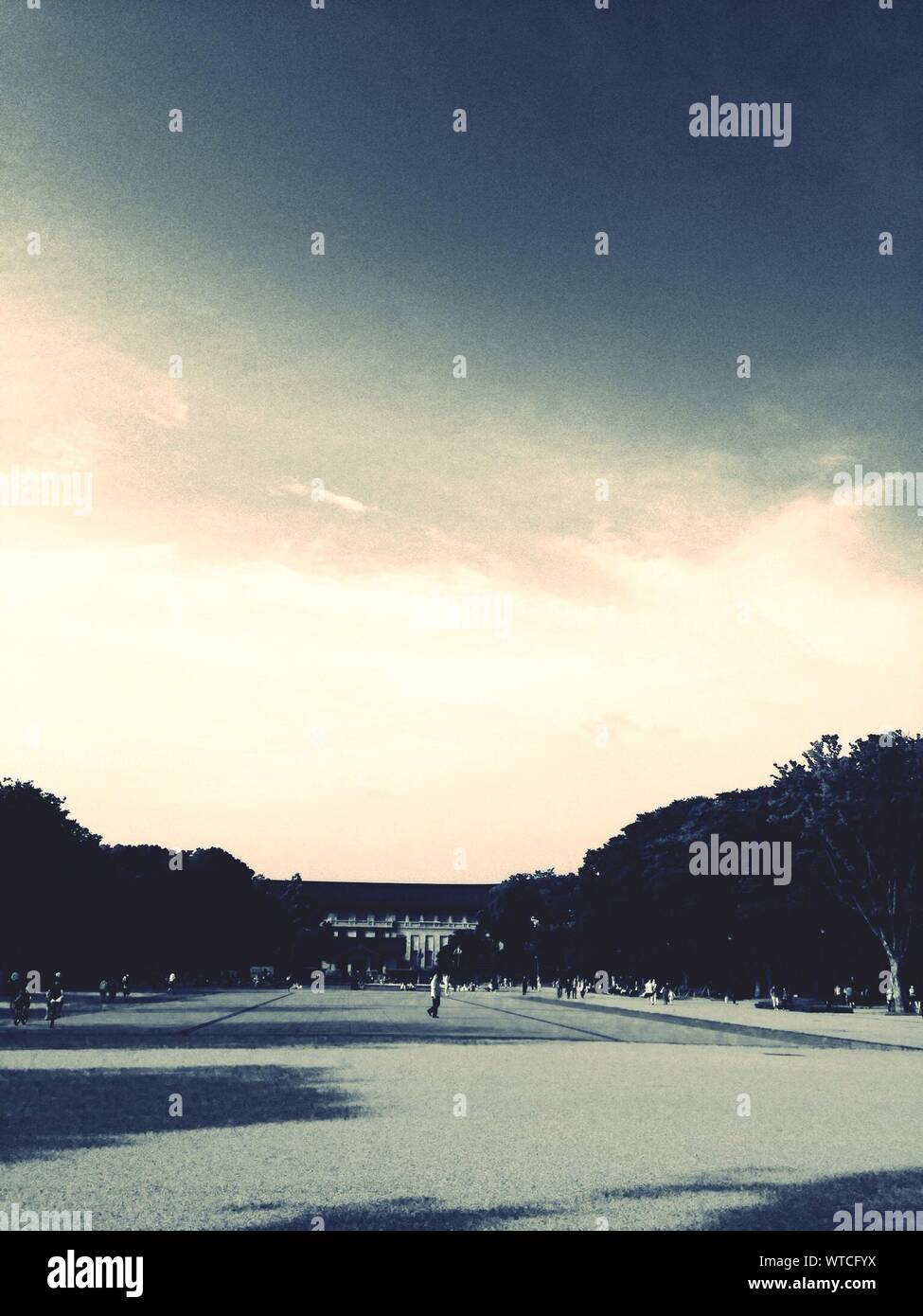 Sky tree town hi-res stock photography and images - Alamy