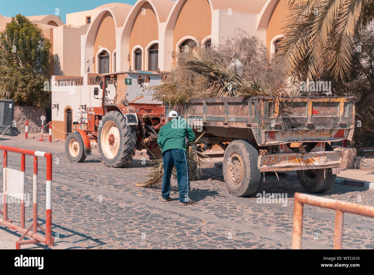 Palm tree truck hi-res stock photography and images - Alamy