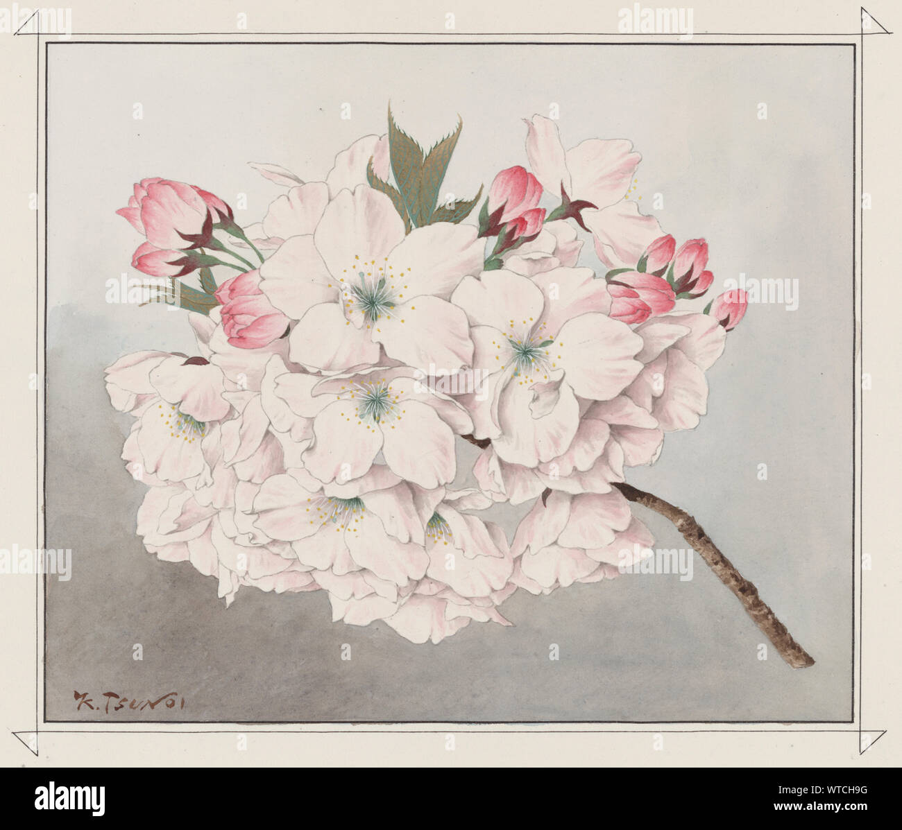 Gaeshi hi-res stock photography and images - Alamy