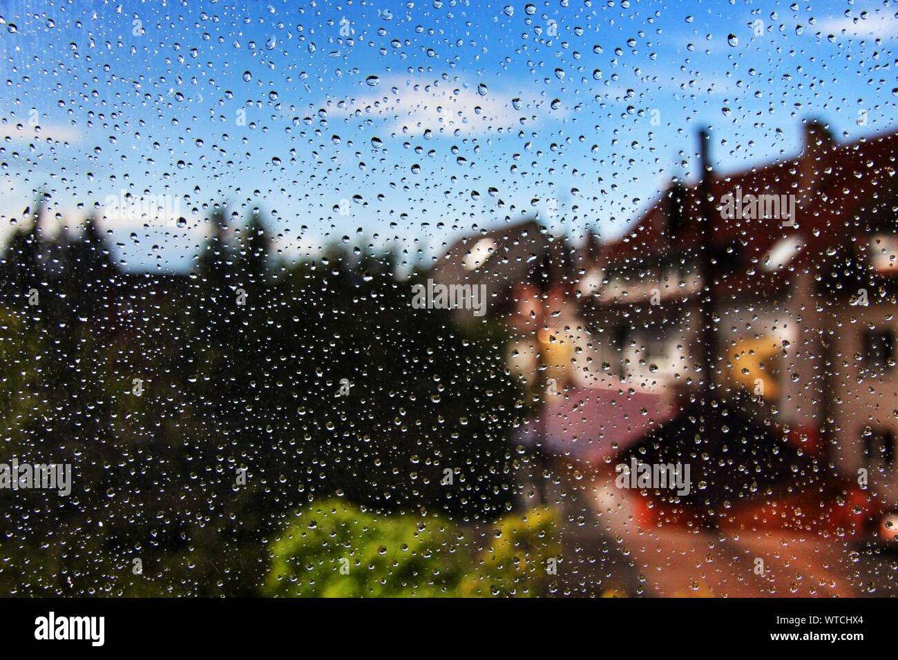 Window barriers hi-res stock photography and images - Alamy