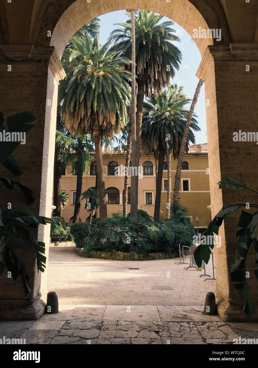 Courtyard with palm tree hi-res stock photography and images - Alamy