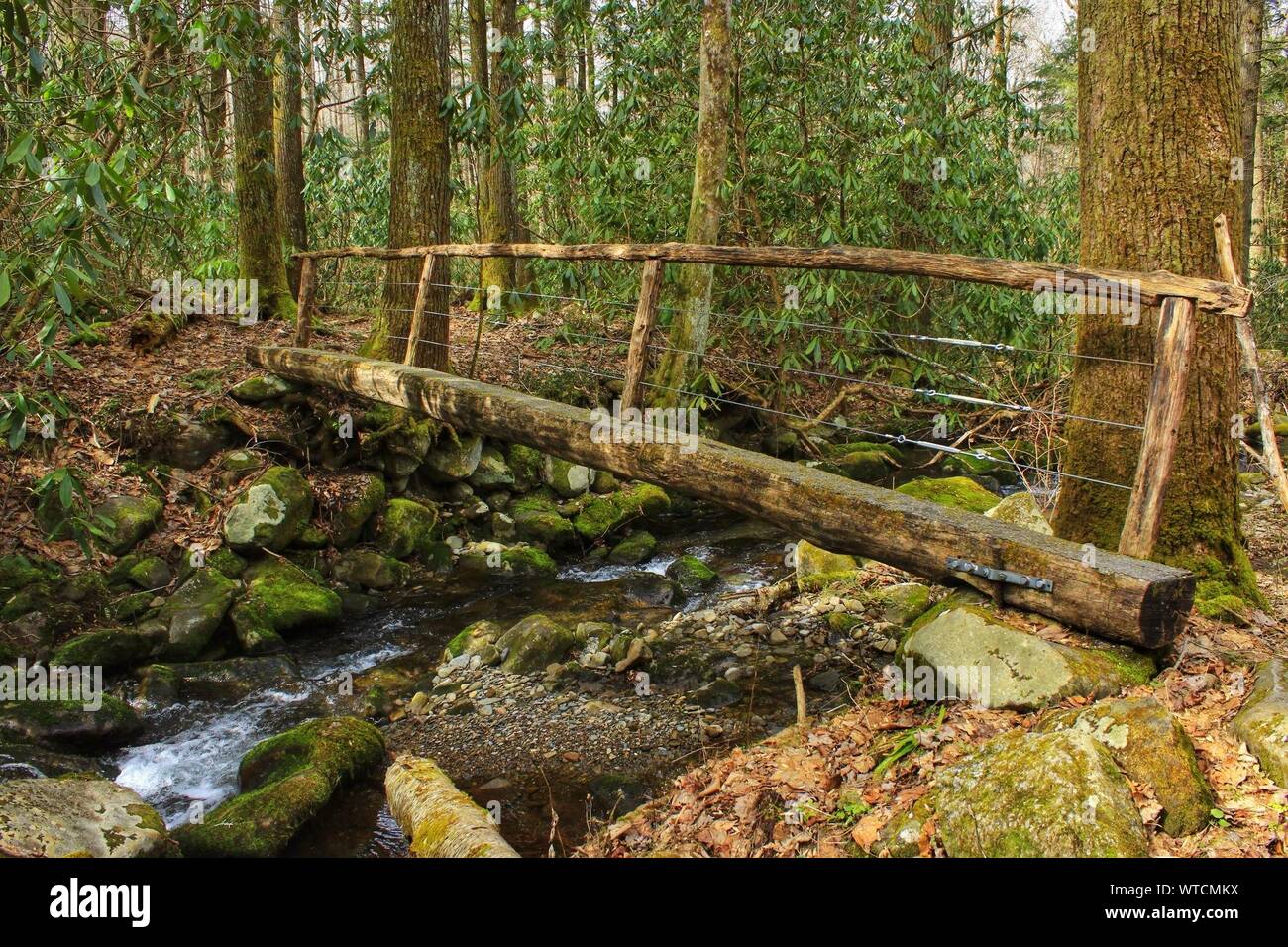 Footbridge over creek hi-res stock photography and images - Alamy