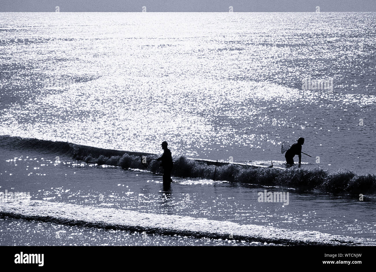 Seining for Bait Stock Photo - Alamy