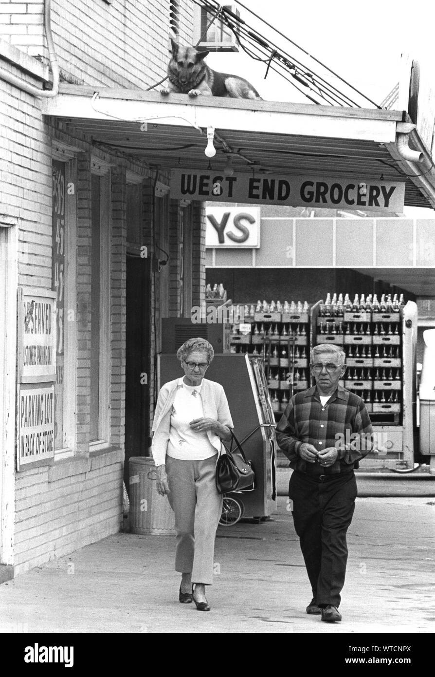Watch Dog Watching Stock Photo - Alamy