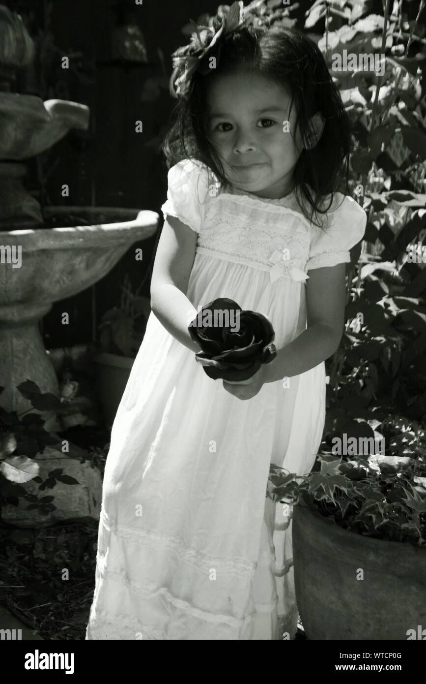 Girl holding rose hi-res stock photography and images - Alamy