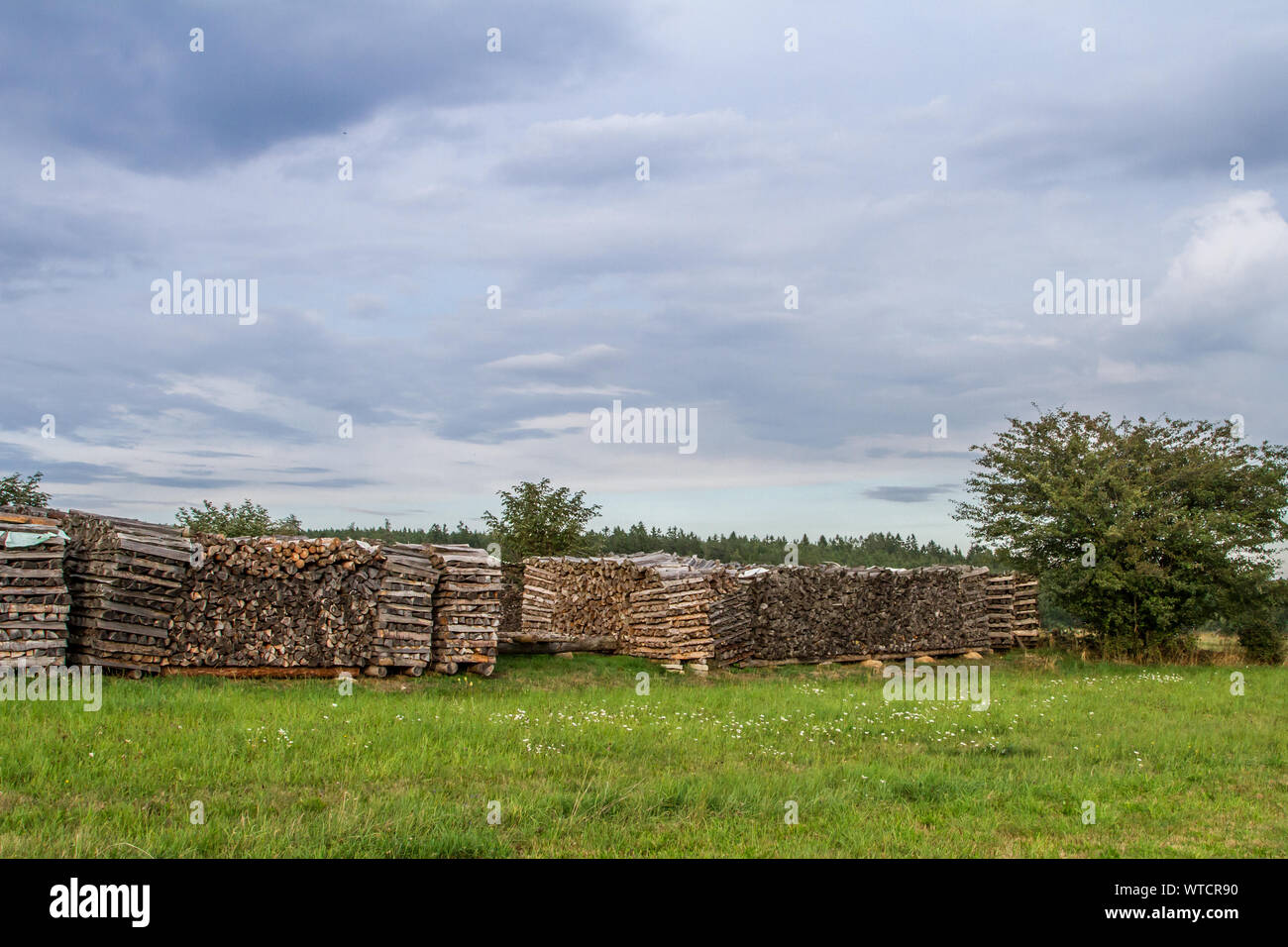 Log Pile Austria High Resolution Stock Photography and Images - Alamy