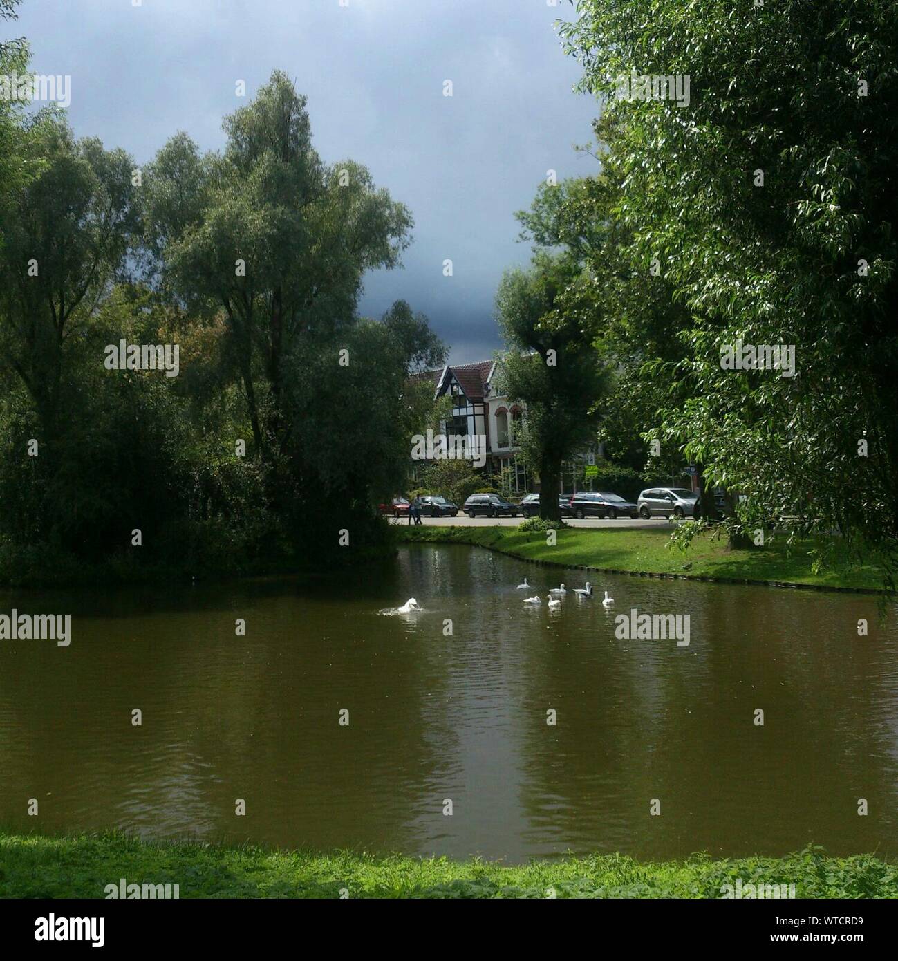 The trees and ponds hi-res stock photography and images - Alamy