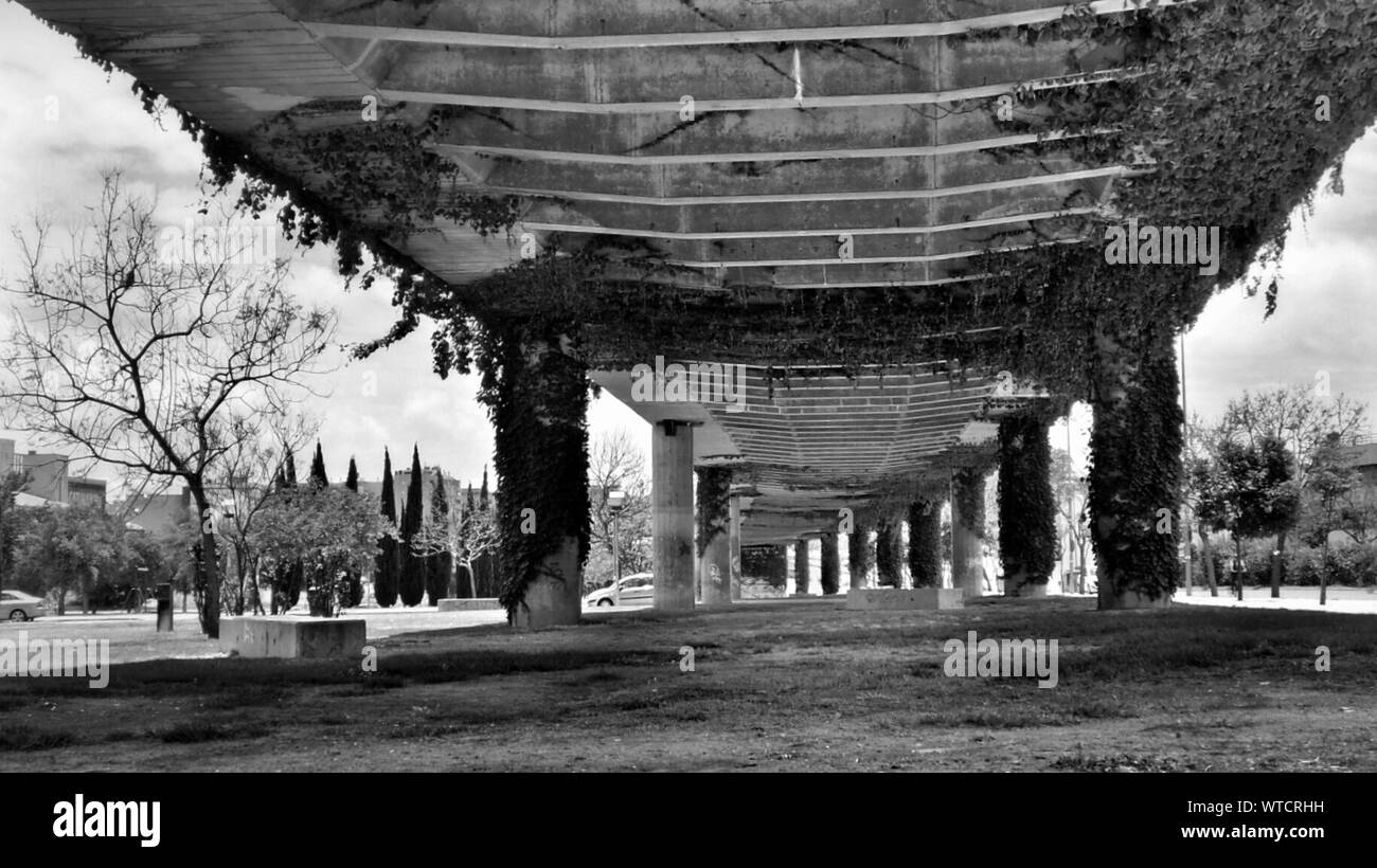 View from underneath hi-res stock photography and images - Alamy