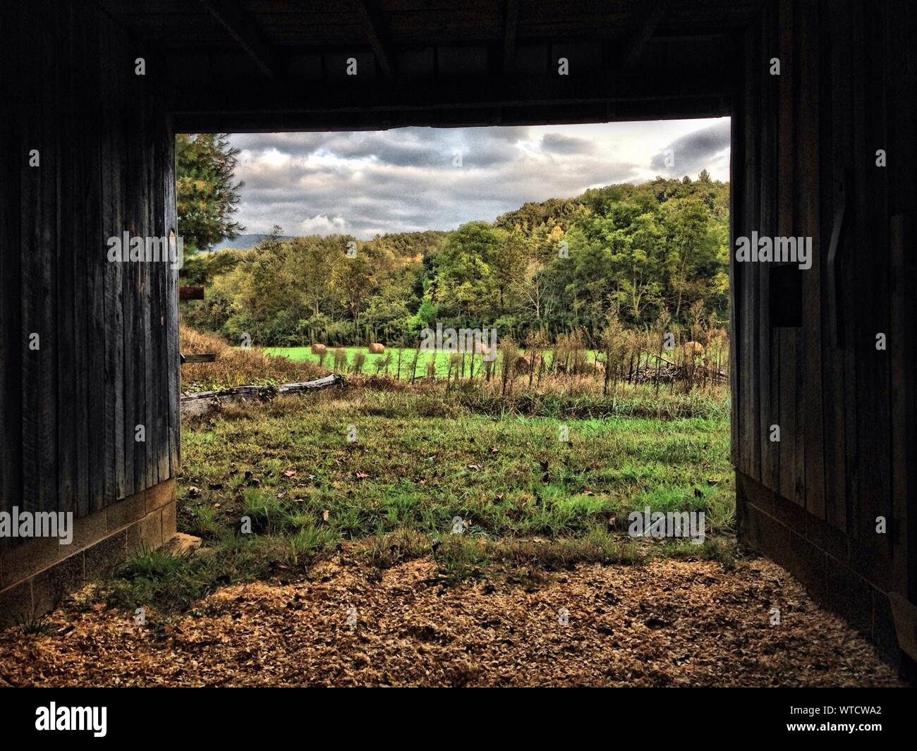 Forest Barn High Resolution Stock Photography and Images - Alamy