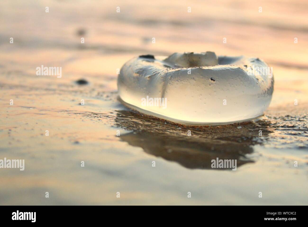 Ice Melting Cube High Resolution Stock Photography and Images - Alamy