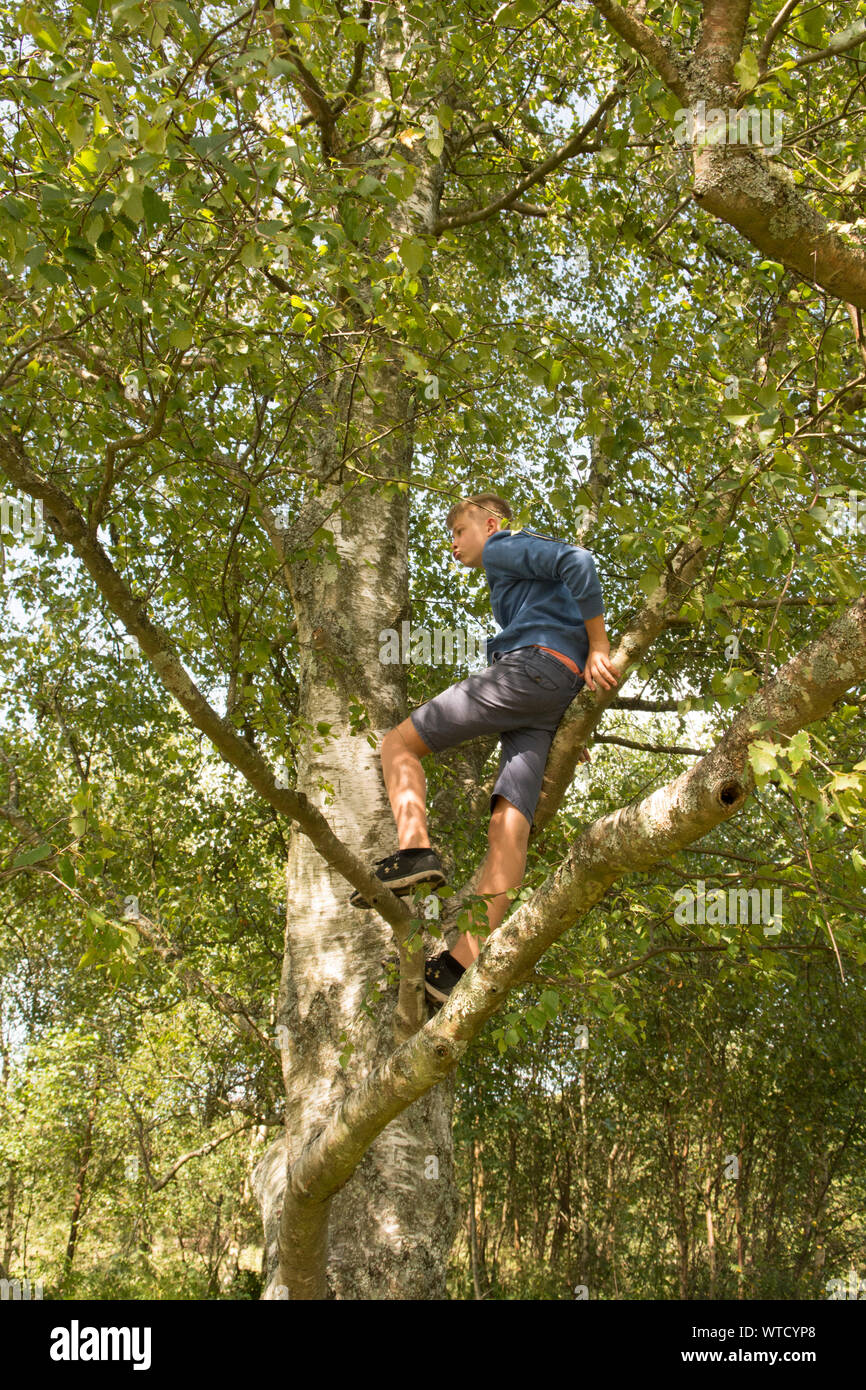 Climbing branches hi-res stock photography and images - Alamy