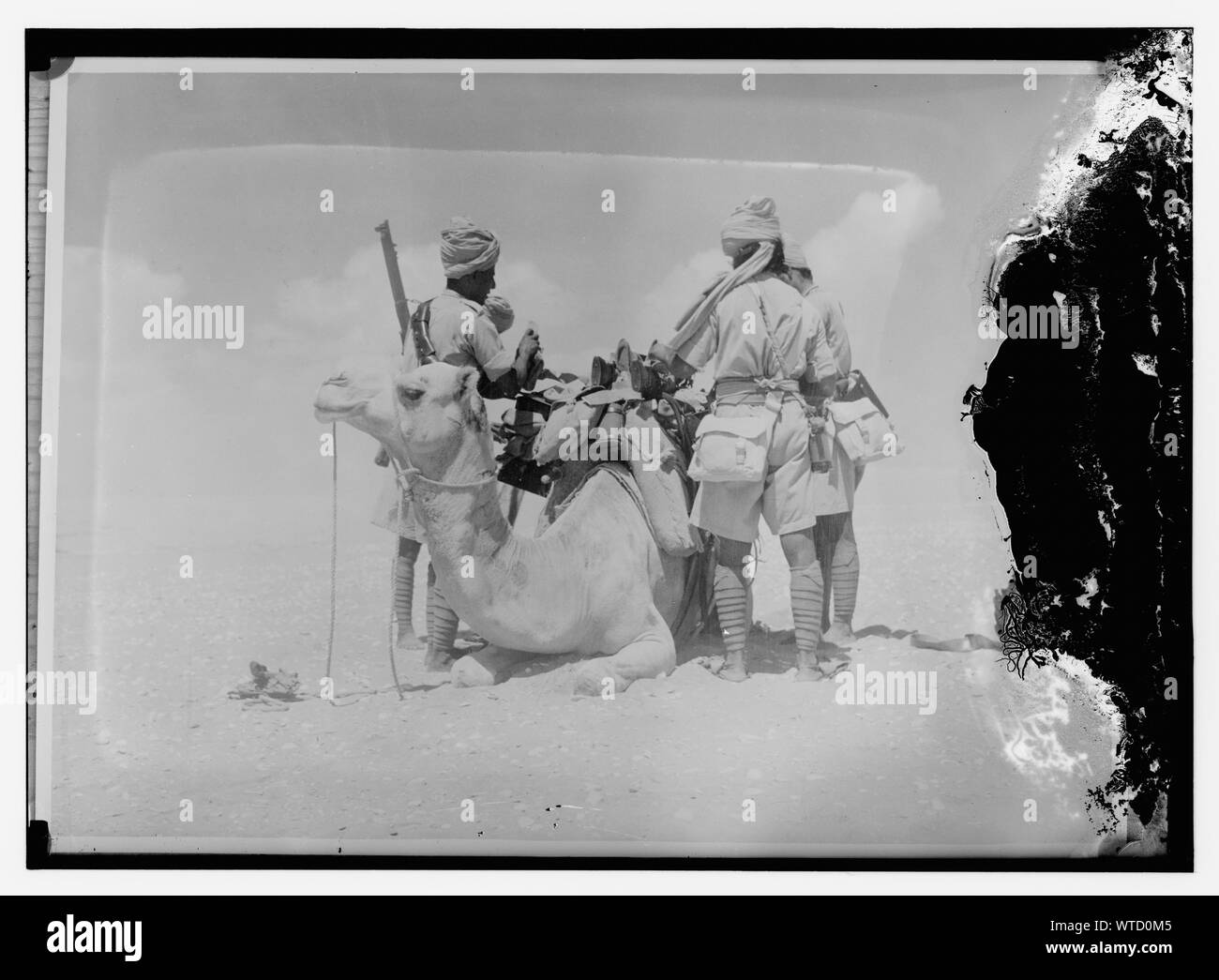 Historical military collection hi-res stock photography and images - Alamy