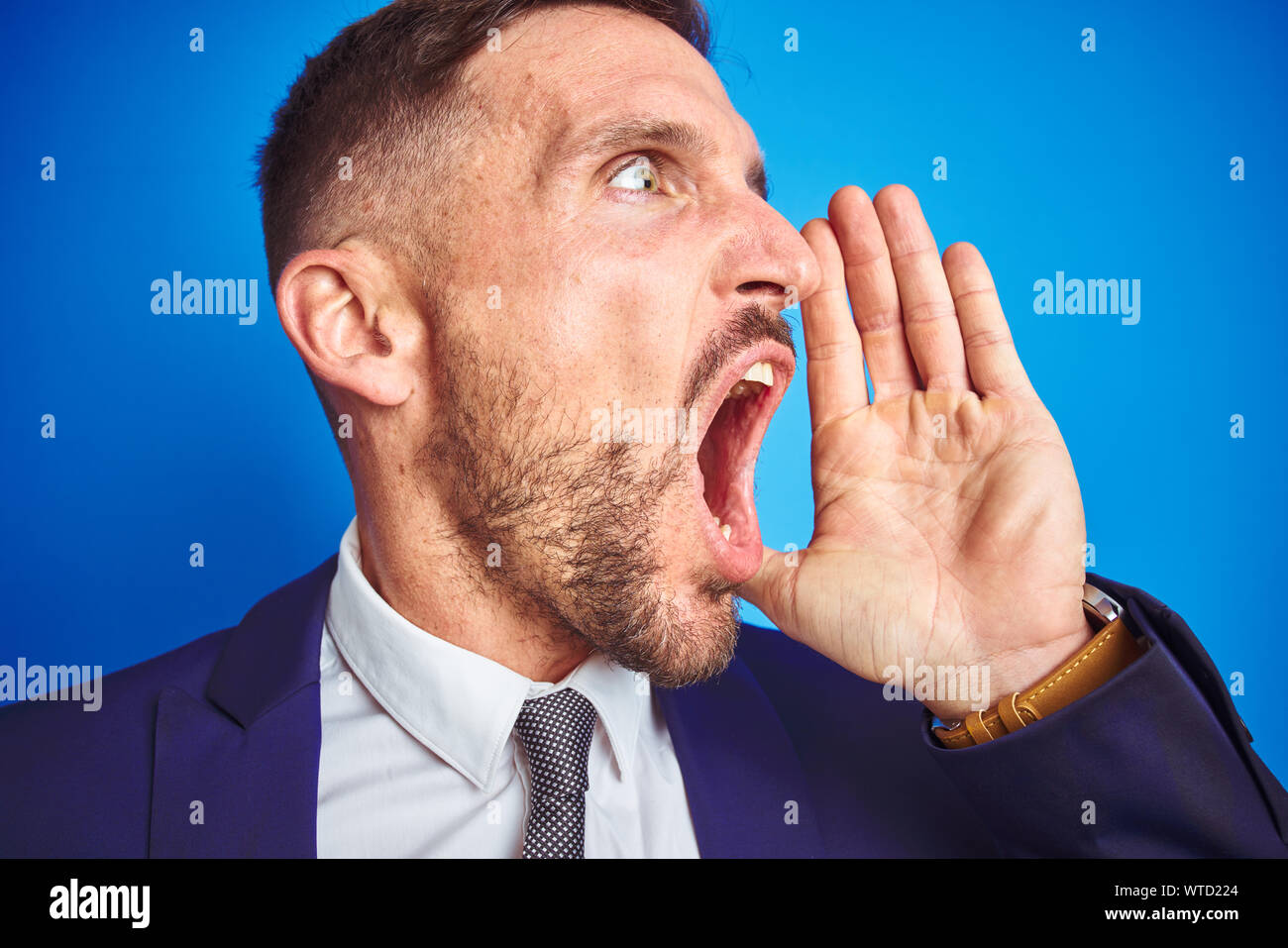 Close up picture of young handsome business man over blue isolated ...