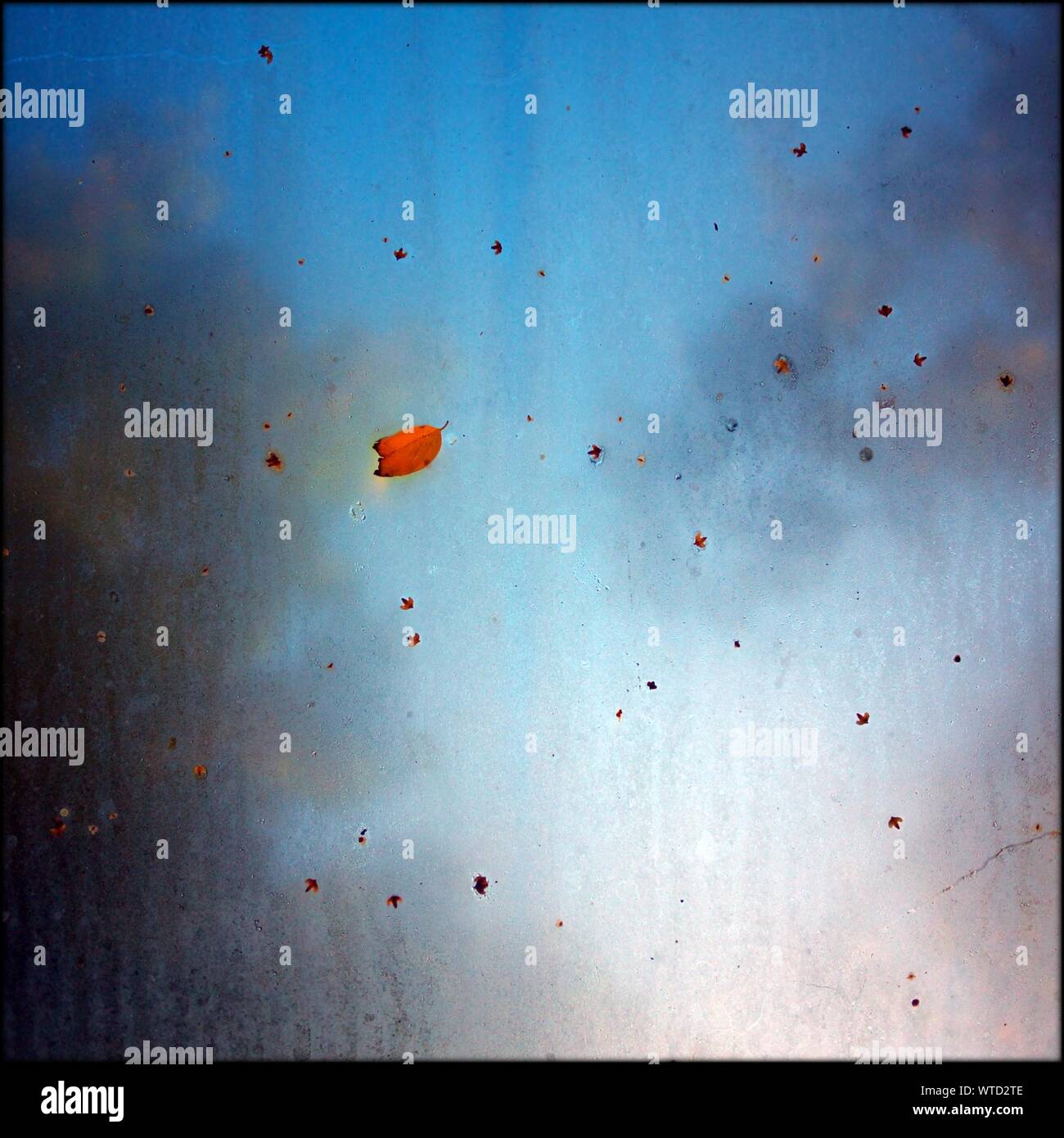 Death to insects hi-res stock photography and images - Alamy