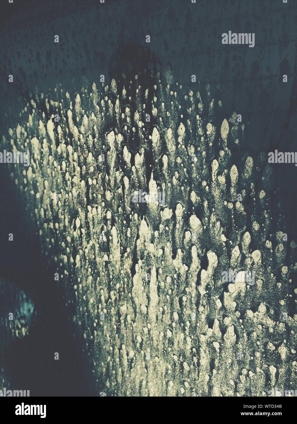 Soap window hi-res stock photography and images - Alamy