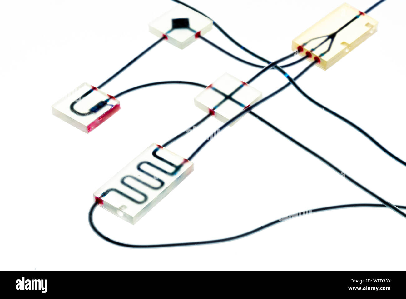 A organ the organs Cut Out Stock Images & Pictures - Alamy