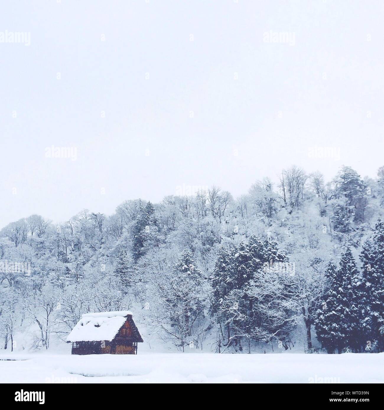 Winter forest log cabin hi-res stock photography and images - Alamy