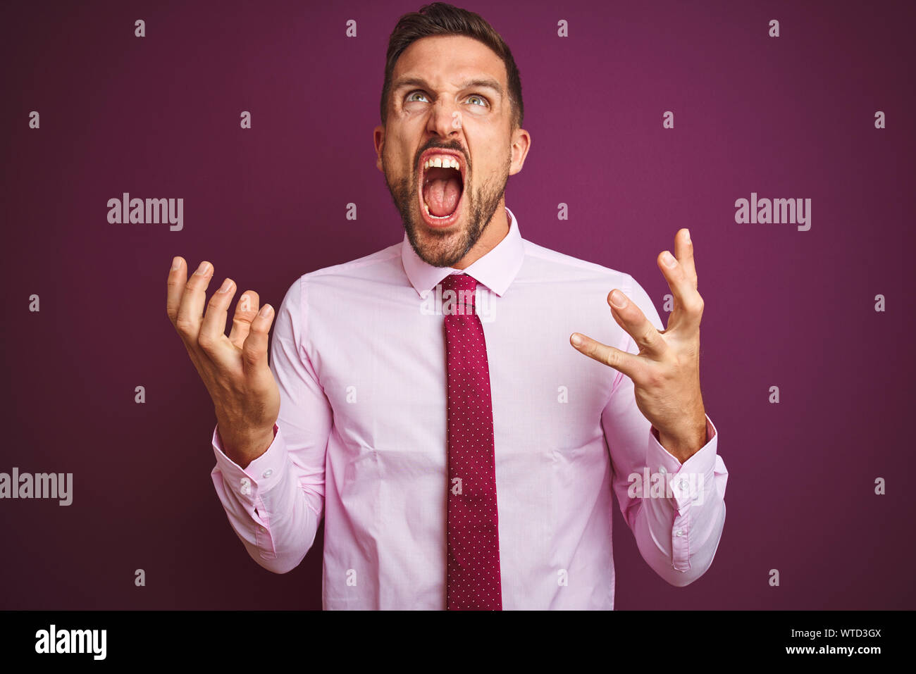 Young business man wearing elegant shirt and tie over purple isolated ...