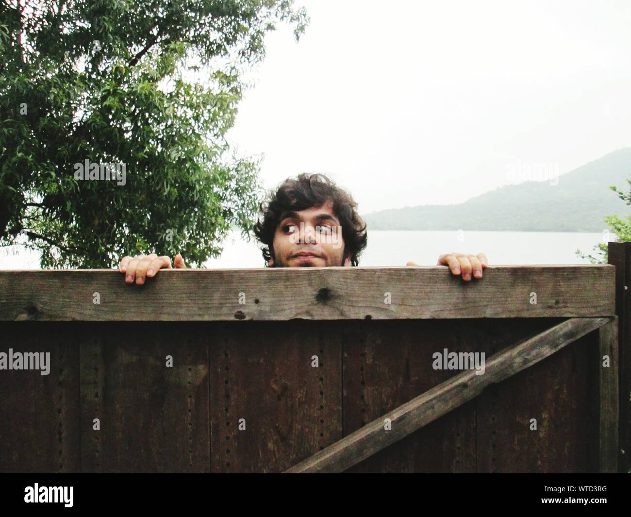 Peeking Through Fence High Resolution Stock Photography and Images - Alamy