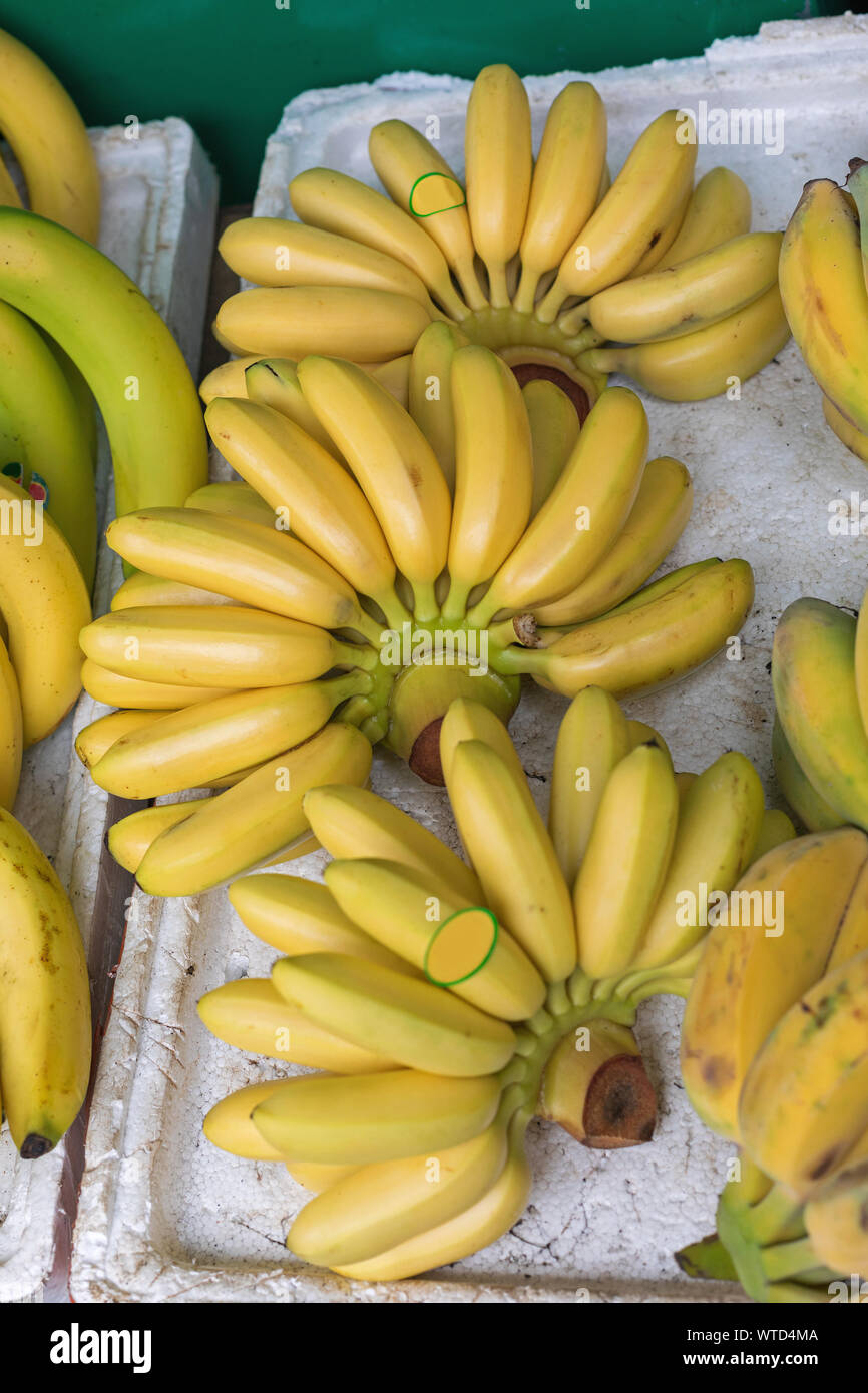 Bunch of Yellow Banana Fruits at Market Stock Photo - Alamy