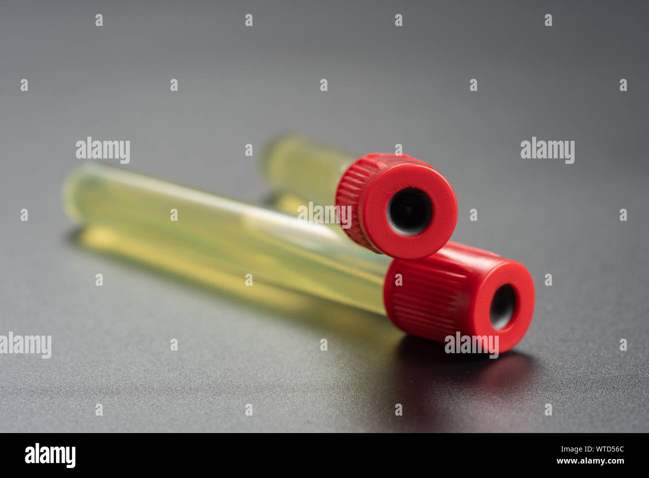 Test tubes with chemical samples in science laboratory Stock Photo - Alamy