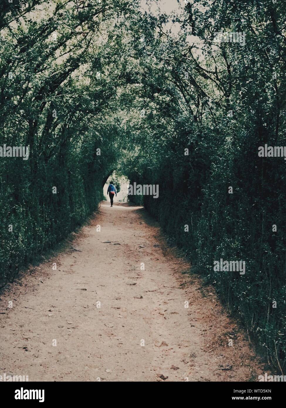 Long distance pathway hi-res stock photography and images - Alamy