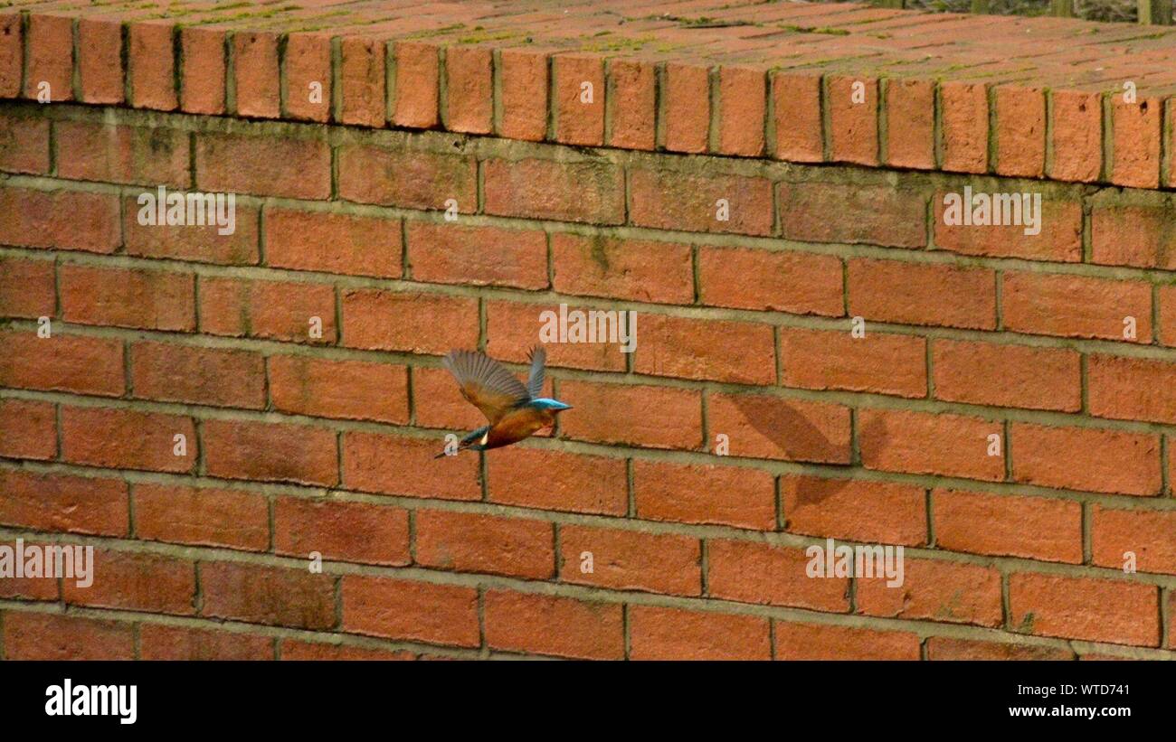 The flying brick hi-res stock photography and images - Alamy