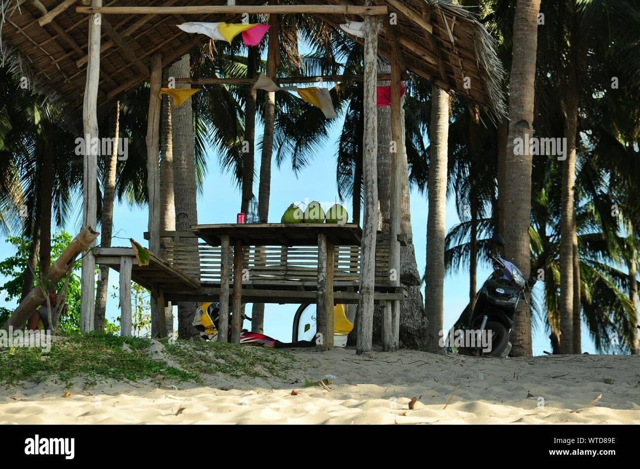 Coconut palm roof hi-res stock photography and images - Alamy