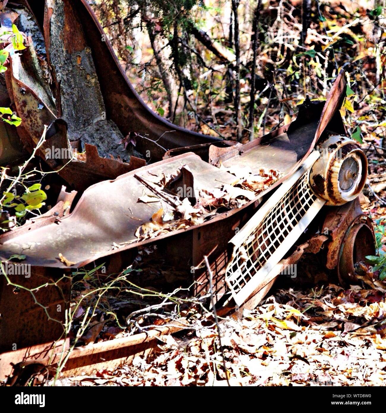 Old Rotting Car Stock Photo - Alamy