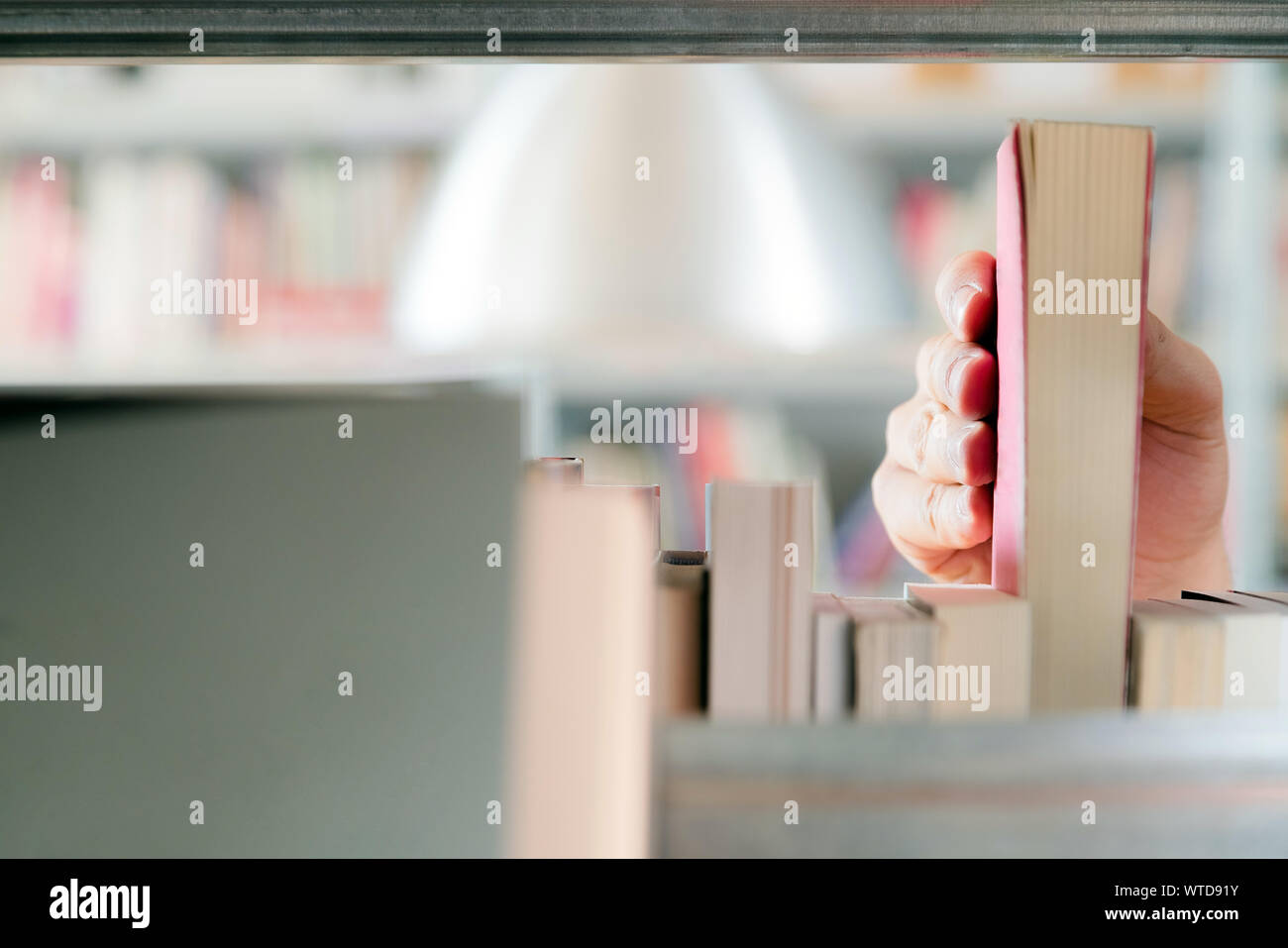 Choosing a book hi-res stock photography and images - Alamy
