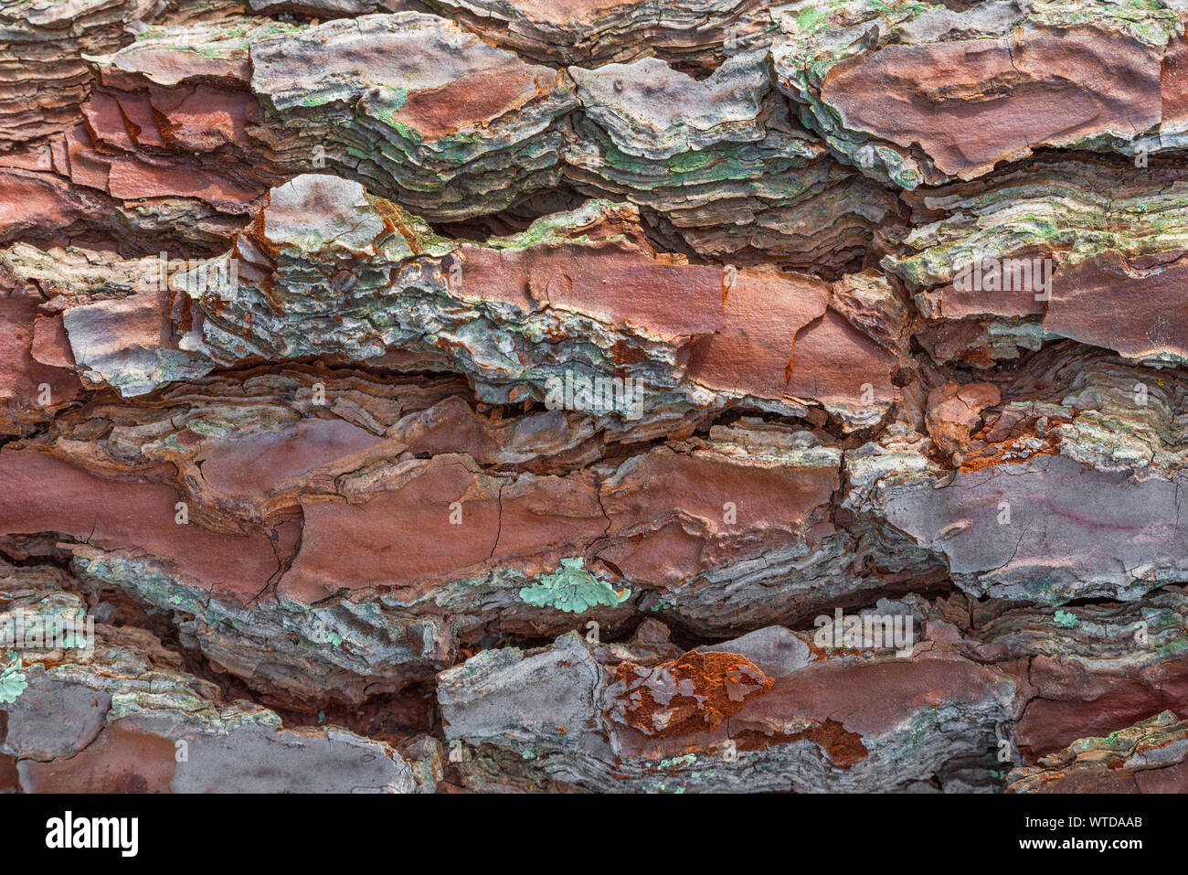 Red and grey shale background Stock Photo - Alamy